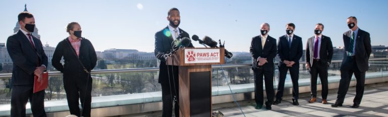 The PAWS Act - Help Us Serve More Veterans - K9s for Warriors