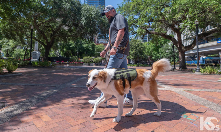 K9s for Warriors – The Nation's Largest Provider of Service Dogs for ...