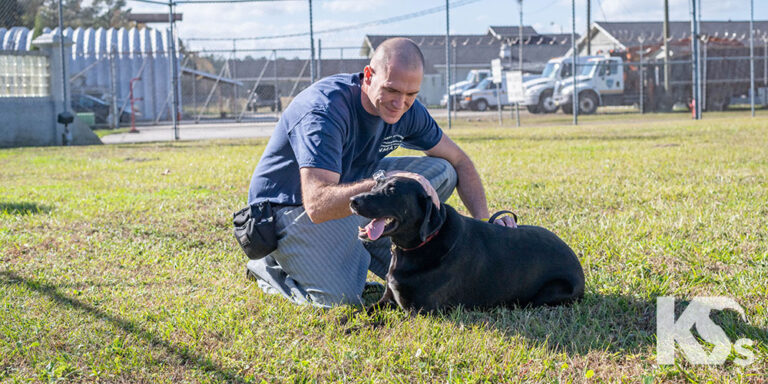 Paws For Change: The K9s For Warriors Prison Program