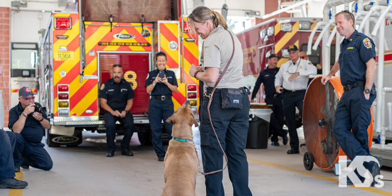 No One Serves Alone — The K9s For Warriors Station Dog Program
