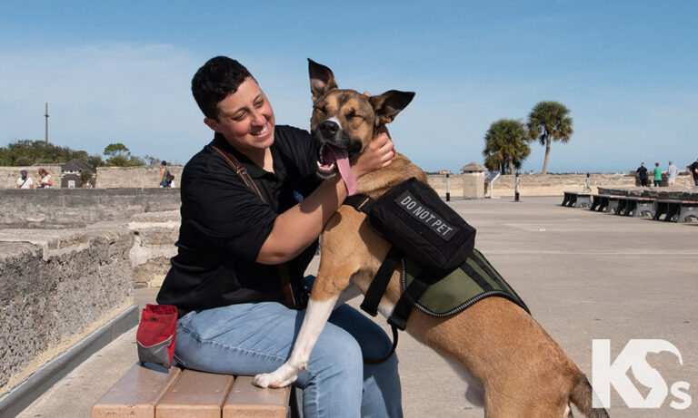 K9s For Warriors - Service Dogs for Disabled Veterans
