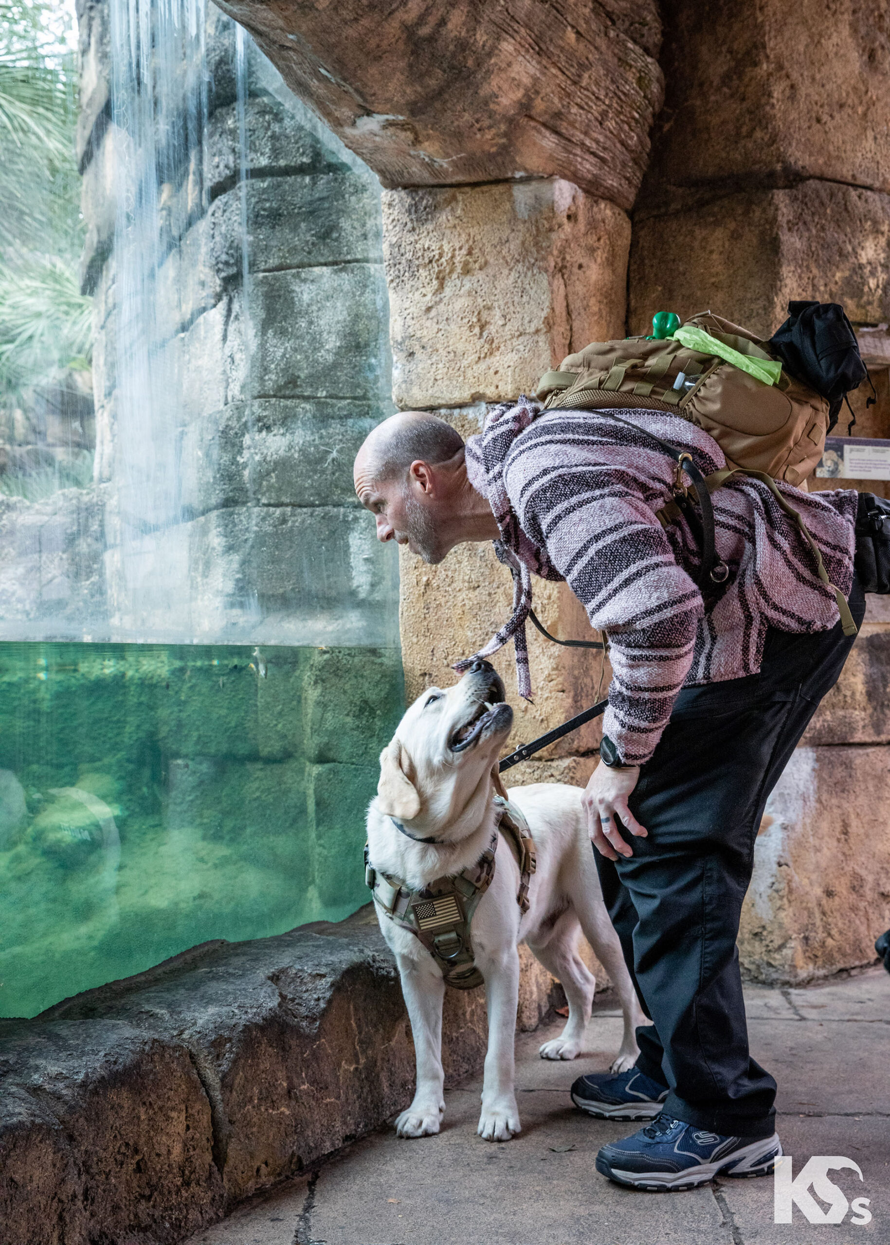 A Letter to Those Who Brought Me Jake - K9s for Warriors