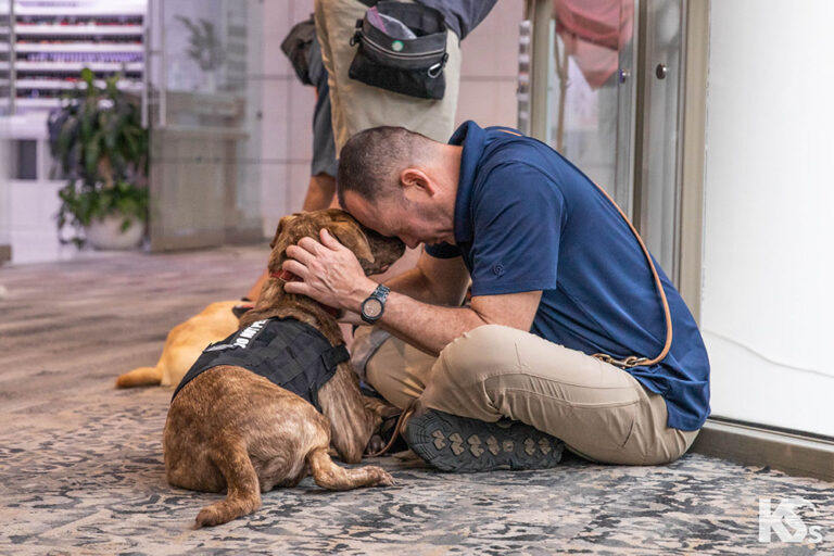 K9s For Warriors - Service Dogs for Veterans with PTSD