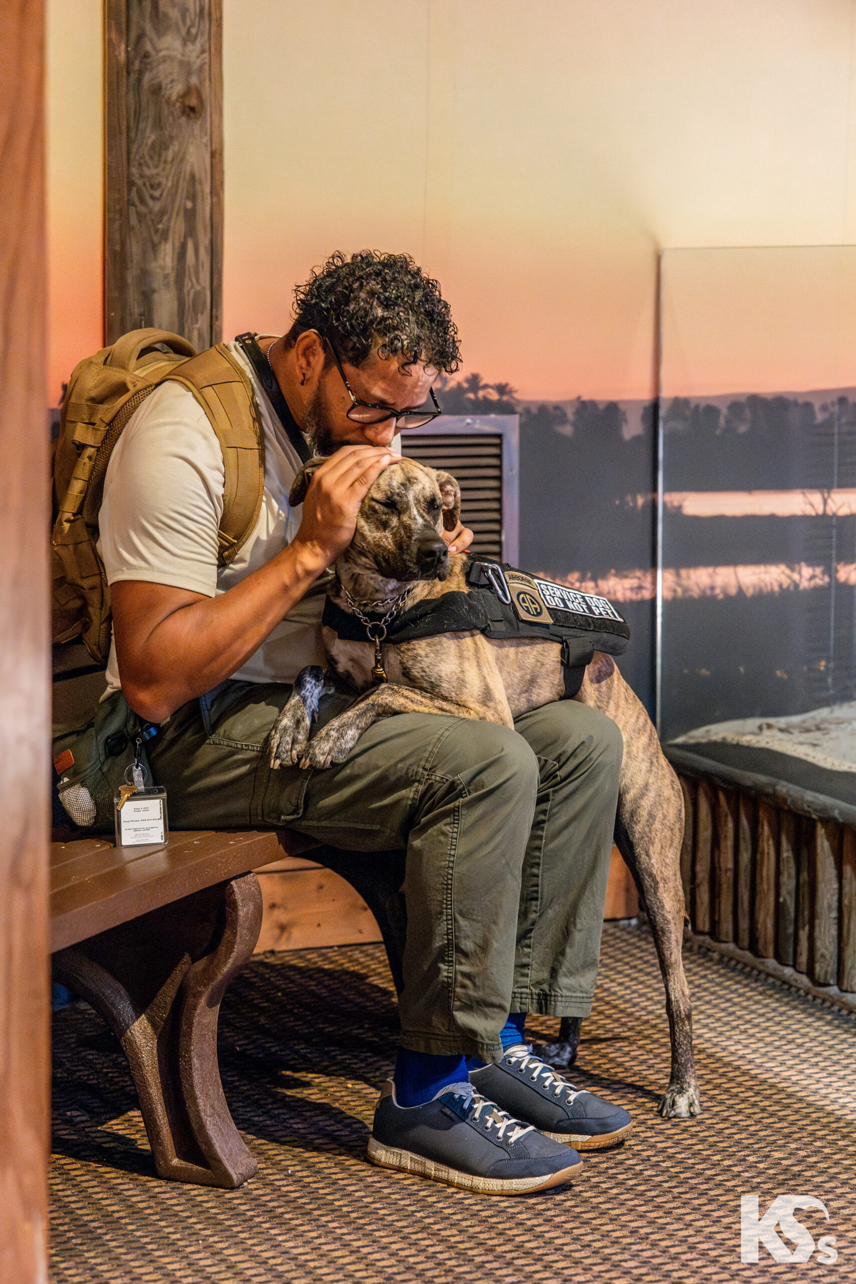 salute-to-service-dogs-celebrating-national-service-dog-day