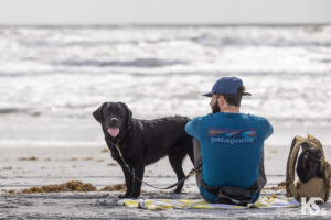 The PAWS Act - Help Us Serve More Veterans - K9s for Warriors