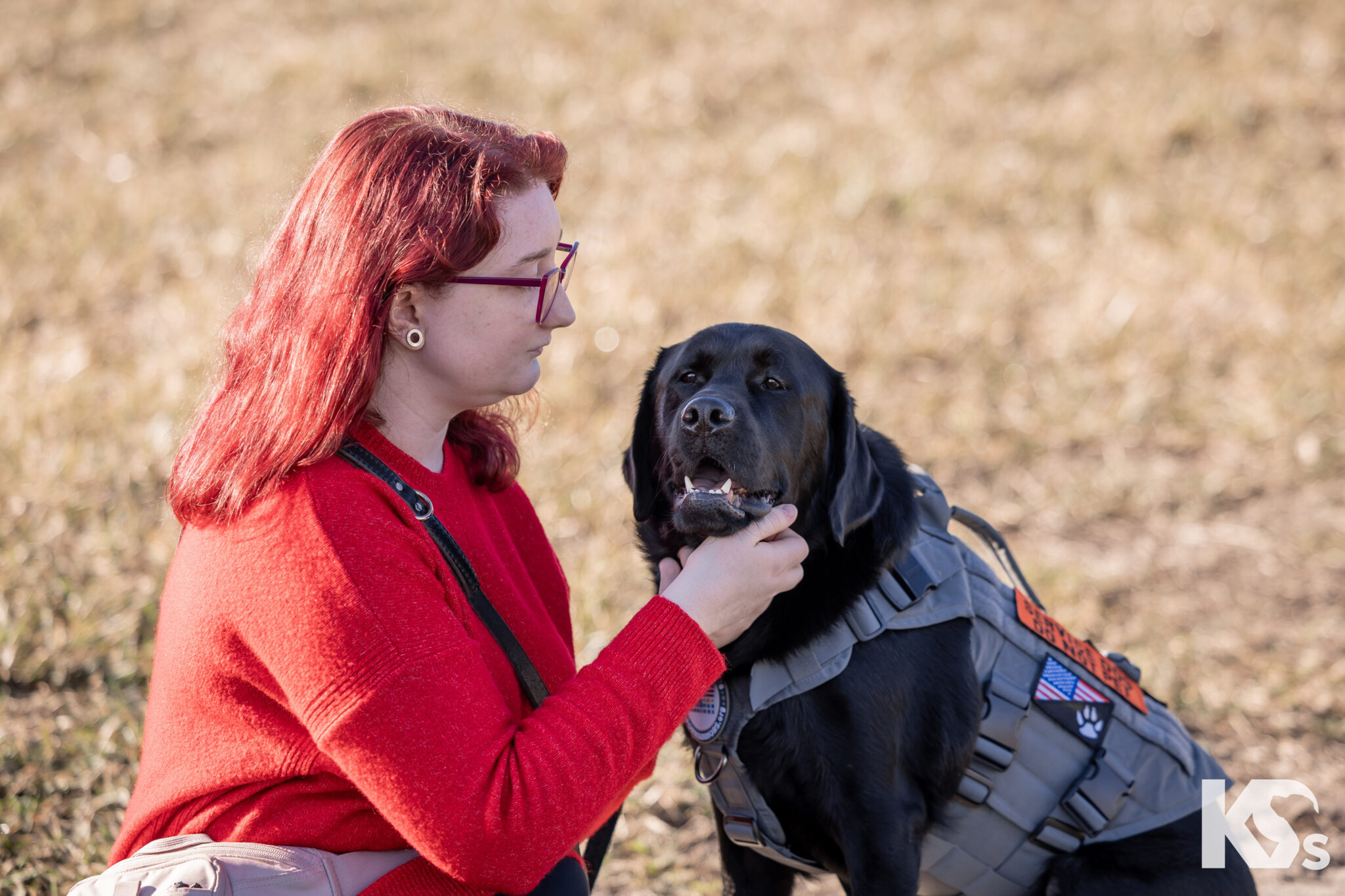 K9s For Warriors - Service Dogs for Veterans with PTSD
